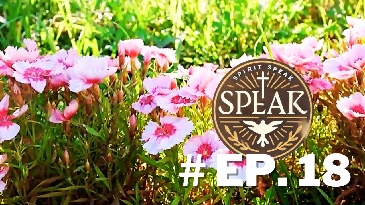 SPIRIT SPEAK 18- Let the spirit speak to you - YouTube