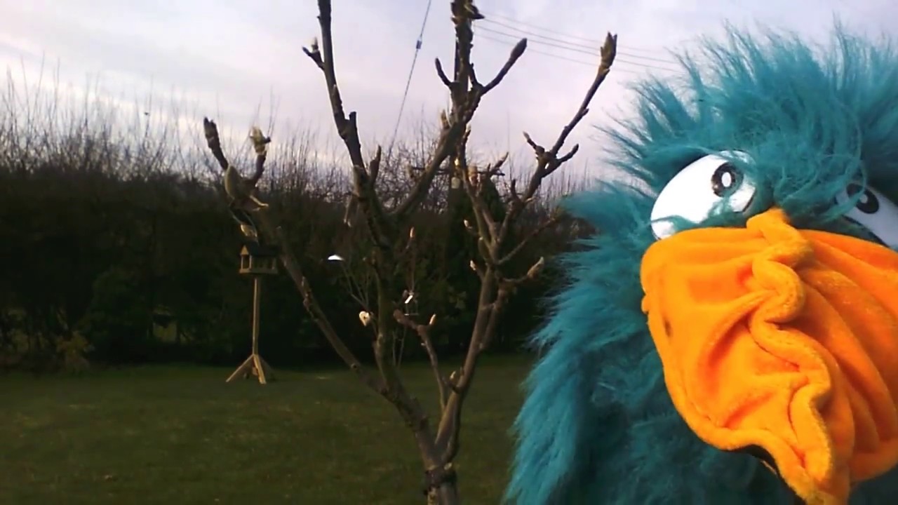 Mrs Waters and Beaky the Bird- Beakly's Nature Diary- Episode 1- Part 2 ...