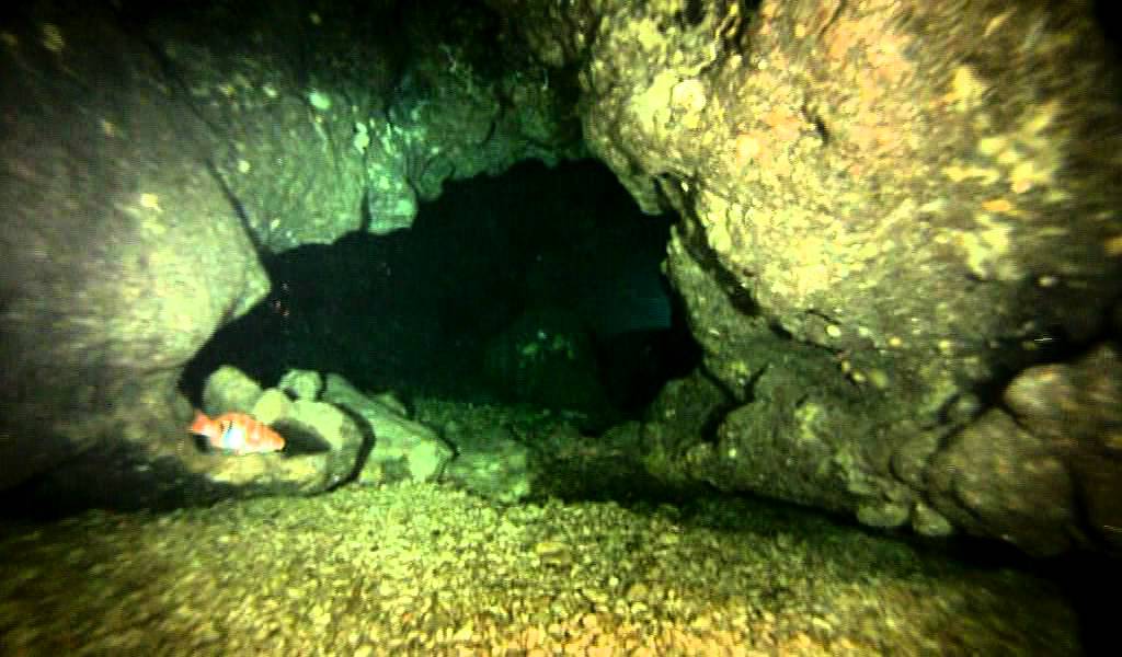 Vis Vis,island Vis,otok Vis,Issa,potápění,diving,Marten9cz,Martin Mejzr ...