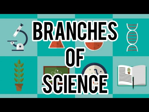 Main Branches of Science - YouTube