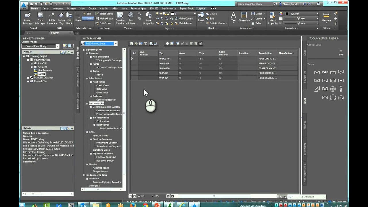 AutoCAD P&ID Using the Data Manager - YouTube