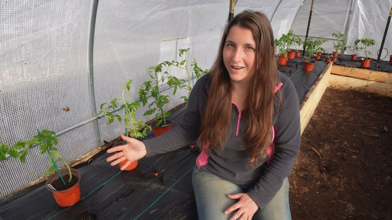 Spring Gardening in Alaska | Trellises, Planting & Drip Irrigation ...