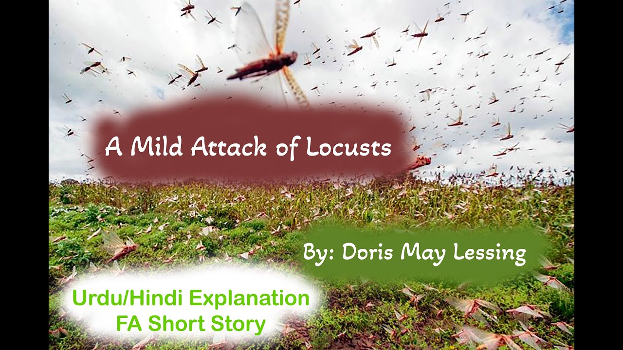 The Mild Attack of Locusts | The Mild Attack of The Locusts by Doris ...