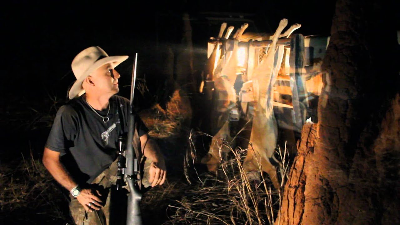 Hunting The northern territory- Part 1- Wild dog/dingo Cross - YouTube