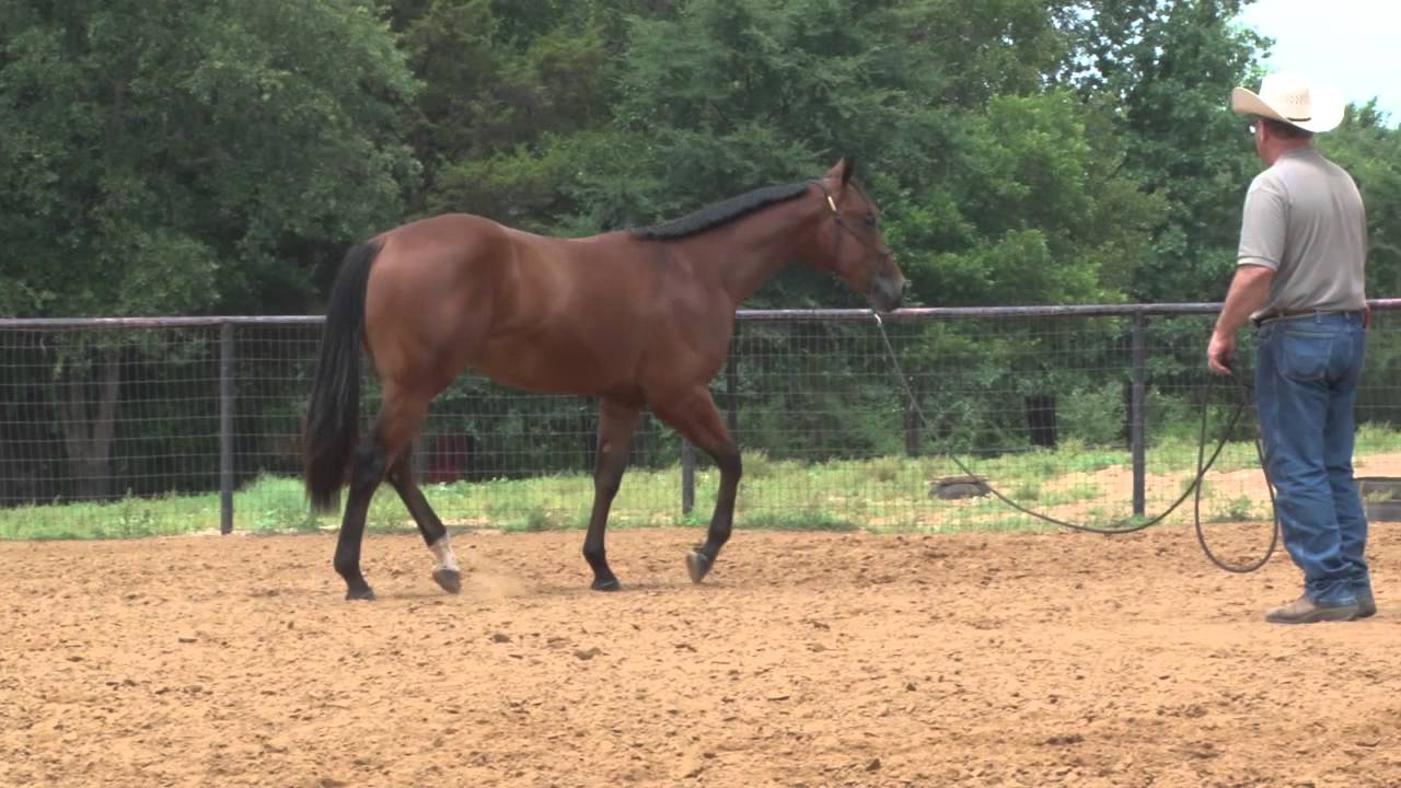 I Got Hot - Sheri Kern - YouTube