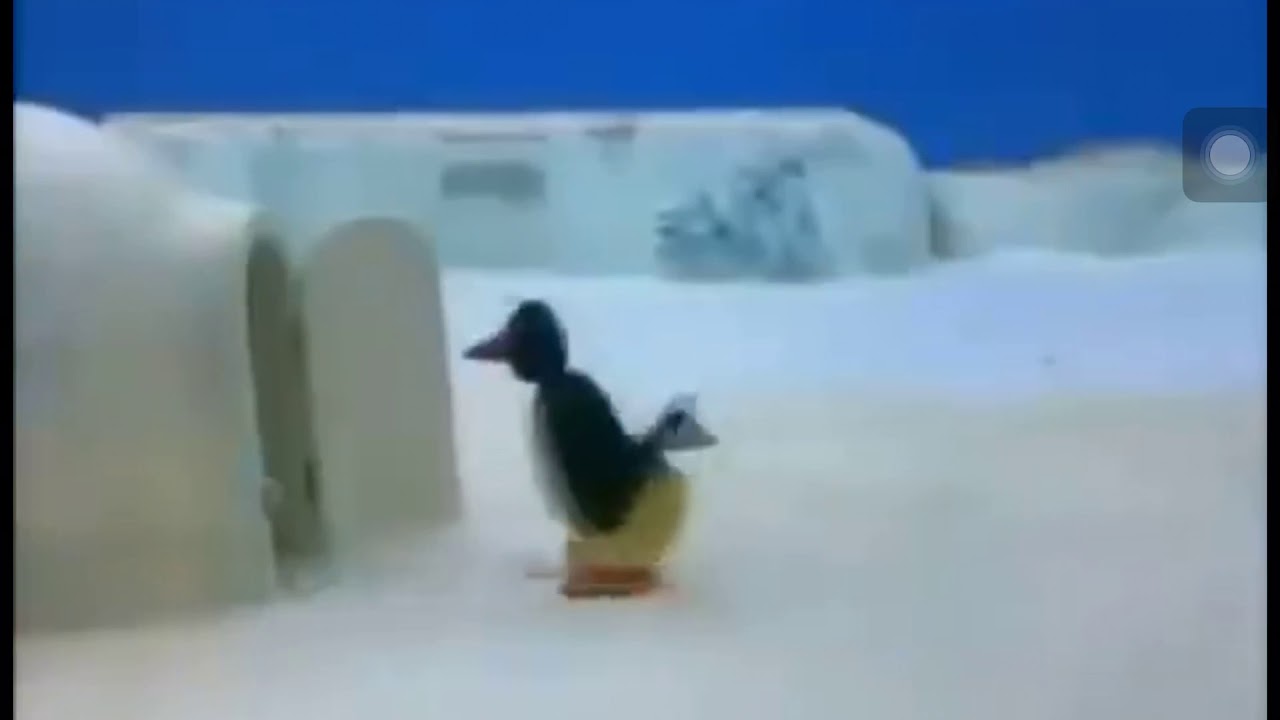 Pingu Mini Vids: Pingu pees on the ground - YouTube