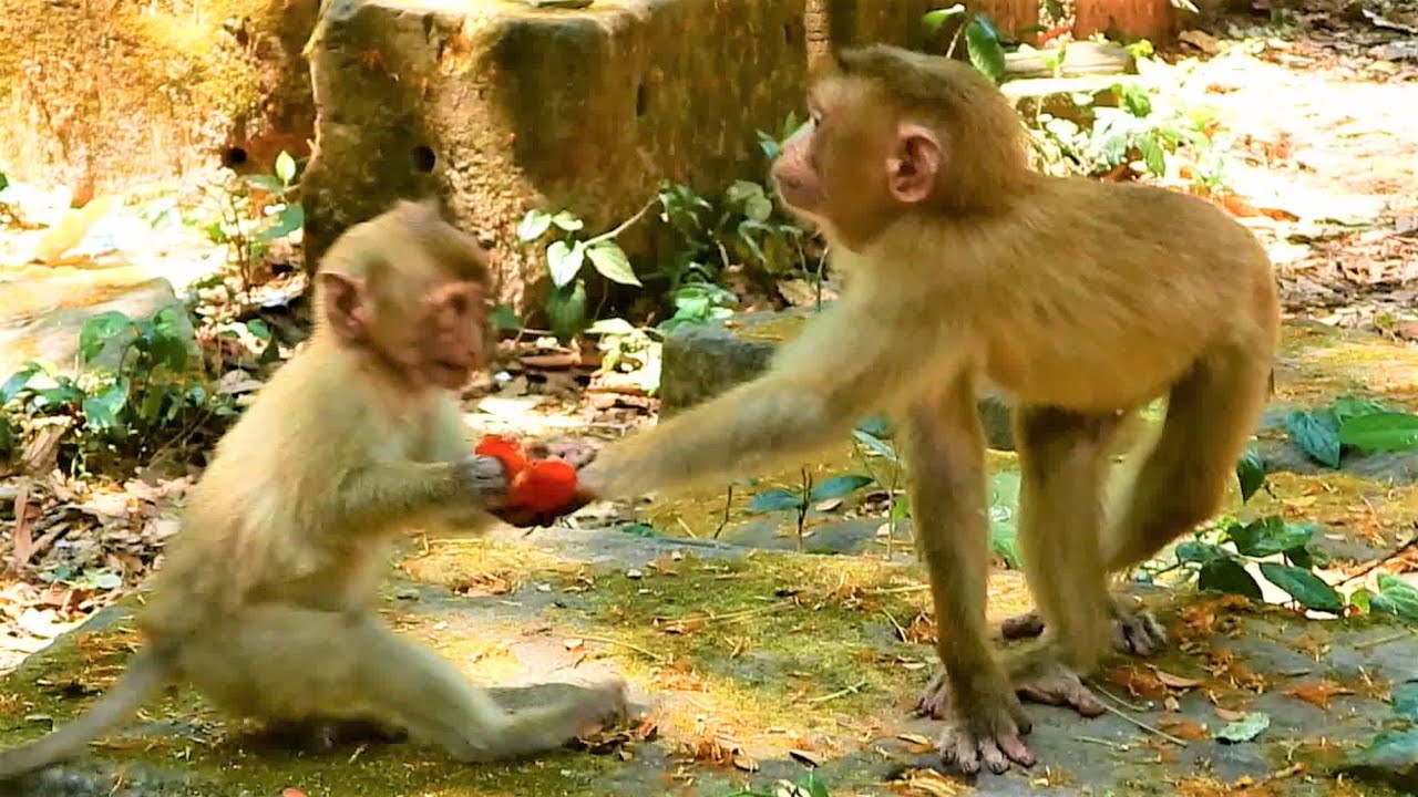 No ..... it's Mine - YouTube