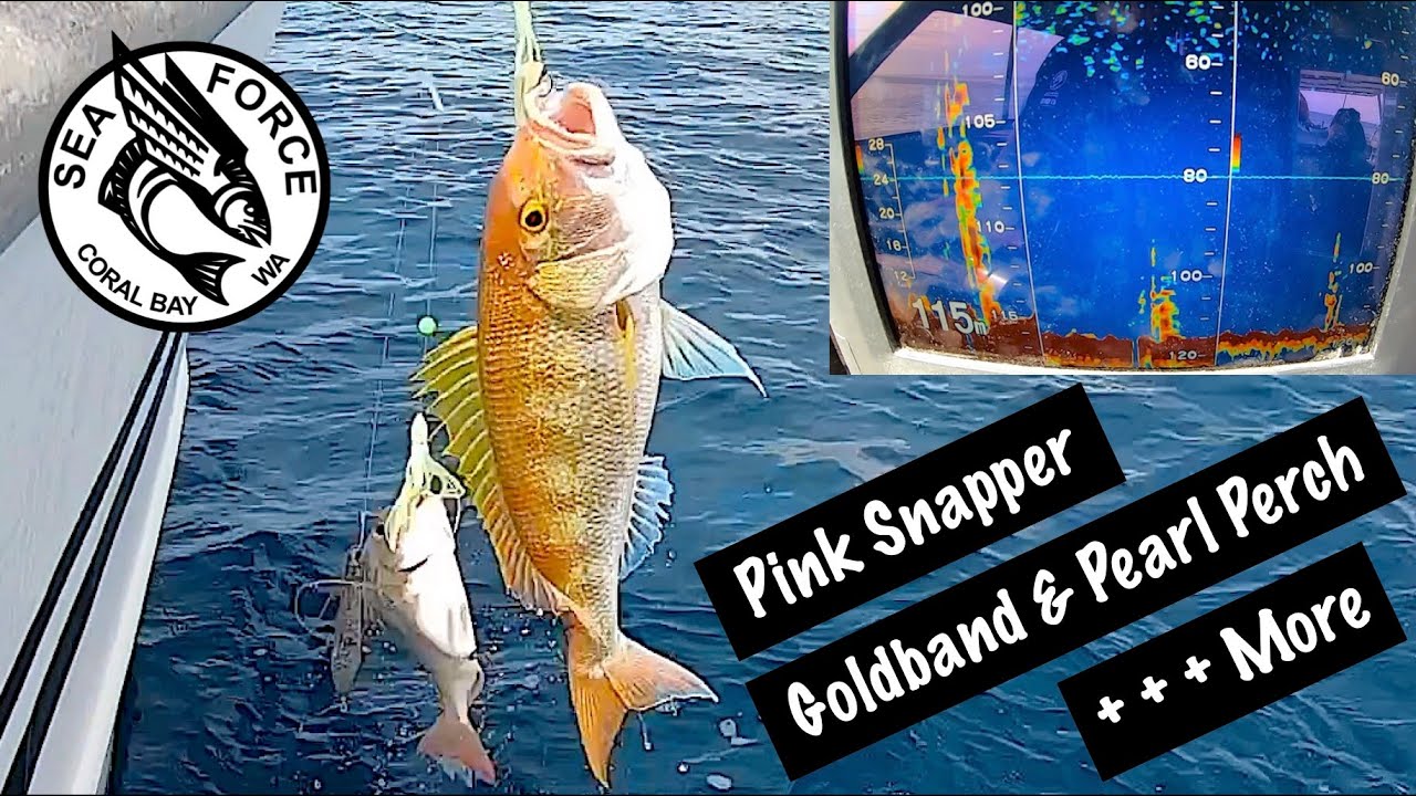 FINISHING STRONG - Goldband, Pearl Perch, Running a Fishing Charter ...