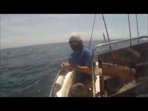 stefano pisu wlmp - YouTube