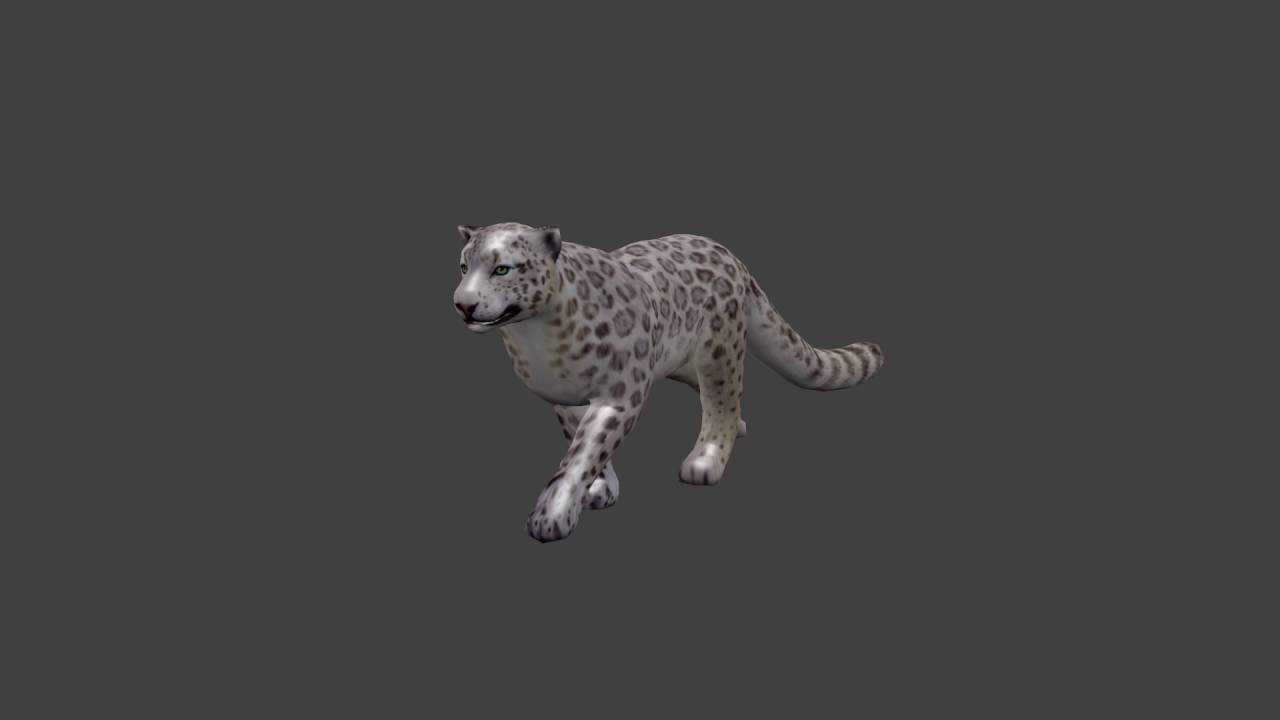 Snow Leopard Walk Animation - YouTube