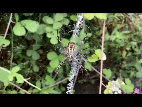 Gözəl təbiət və təbiətdə yaşayanlar