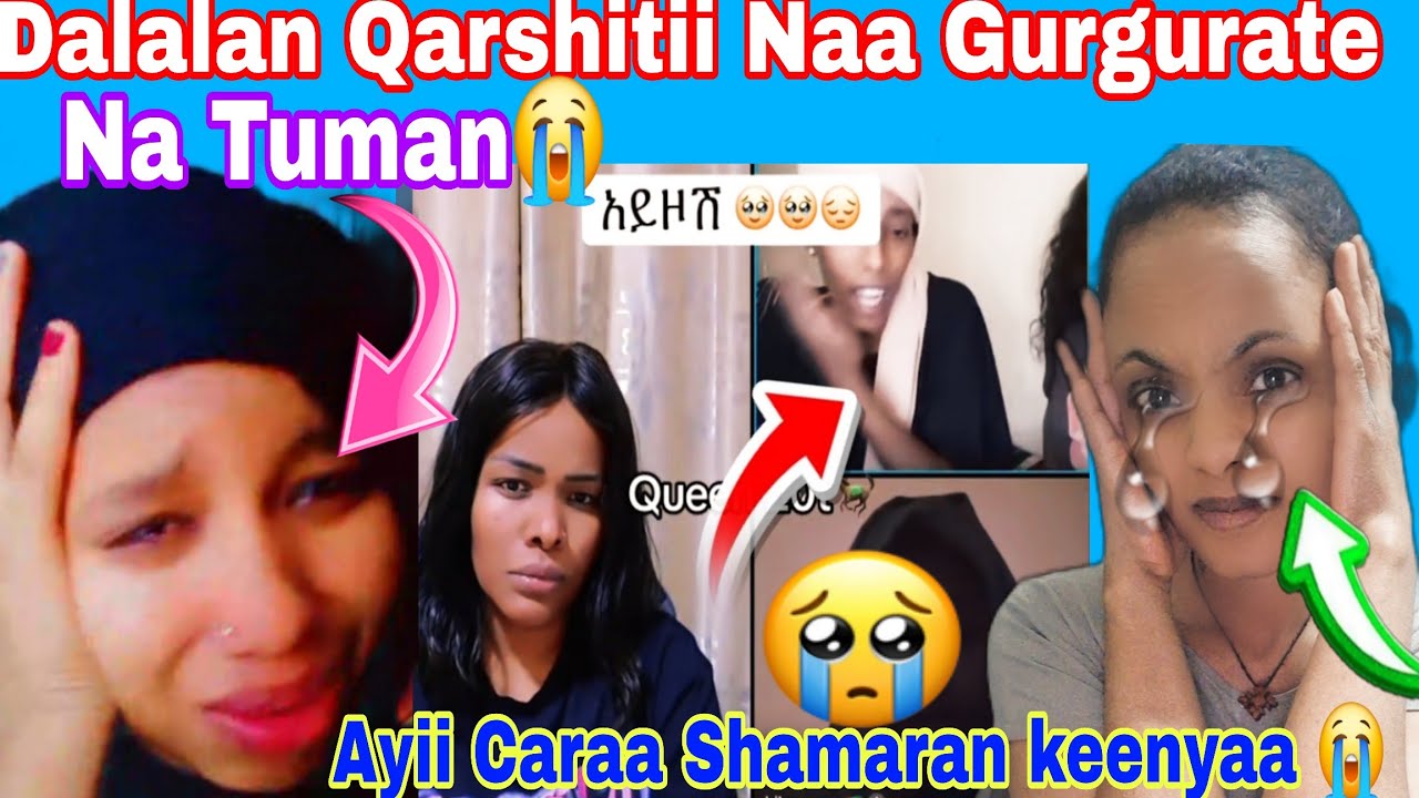 😭#Ayii Caraa S#hamaran keenyaa #dalalaa qarshitti gurgurtatee na human ...