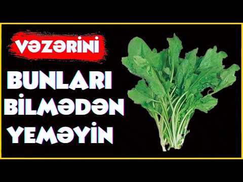 Vəzərinin Faydaları və Zərərləri | Vəzəri Nəyə Xeyirlidir, Kimlərə Olmaz?
