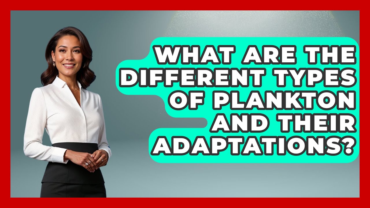 What Are the Different Types of Plankton and Their Adaptations? | The ...