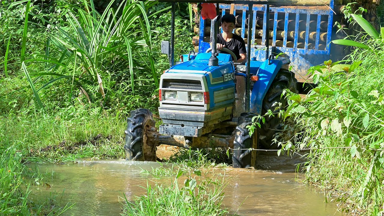 Compilation of stunts: Tractor transporting wood during the rainy ...
