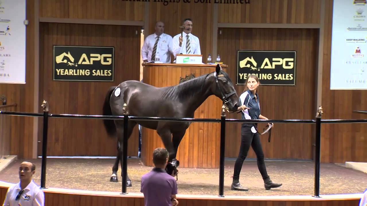 Albert Walmsley - Lot 172 - YouTube