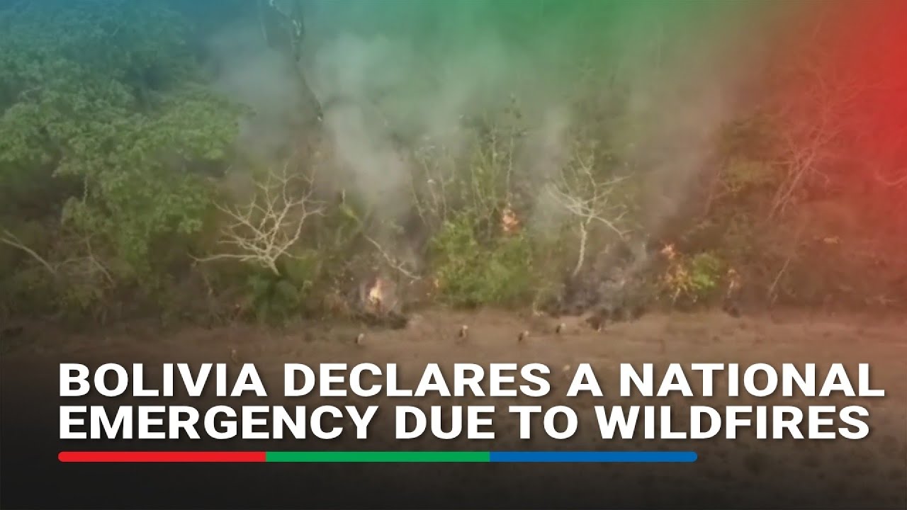 Bolivia declares a national emergency due to wildfires - YouTube