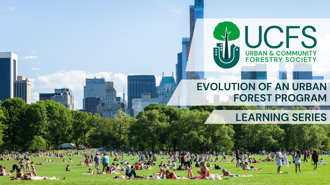 Evolution of an Urban Forest Program - YouTube