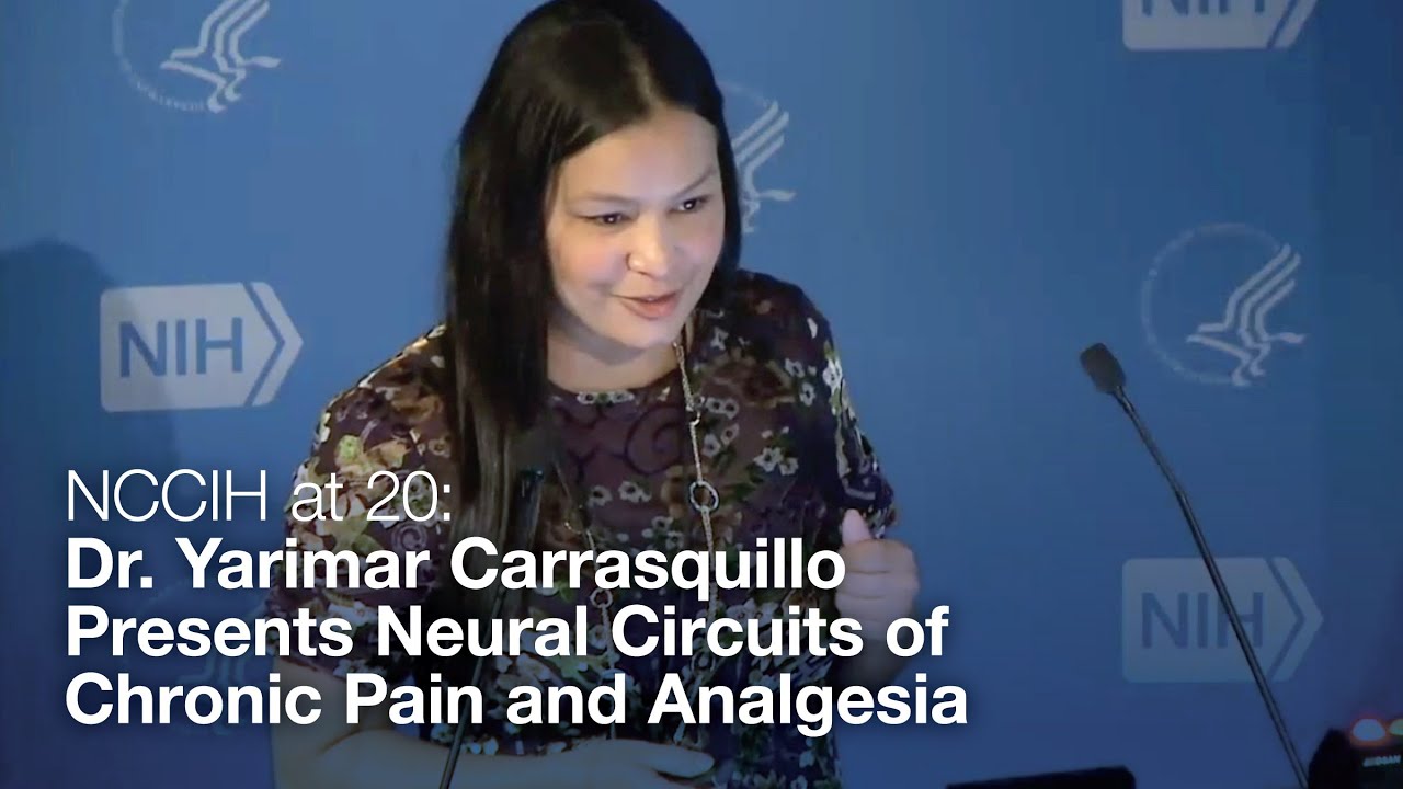 NCCIH at 20: Dr. Yarimar Carrasquillo Presents Neural Circuits of ...