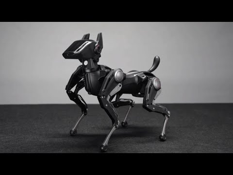 Hengbot Sirius The World's First Trainable AI Robotic Dog - YouTube