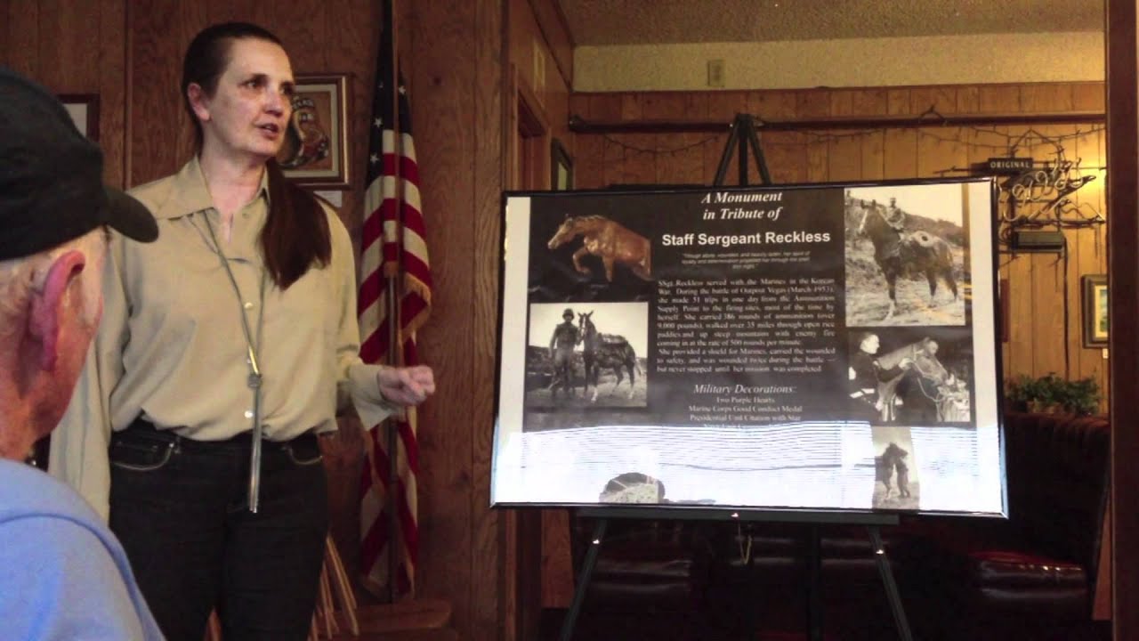 Sgt Reckless by Robin Hutton Part 1 - YouTube