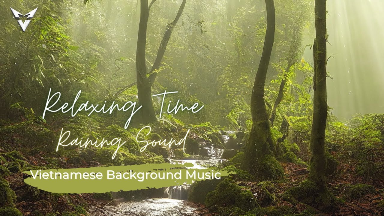 Piano nhẹ nhàng thư giãn cùng thiên nhiên || AudioBay - Thư Viện Nhạc ...