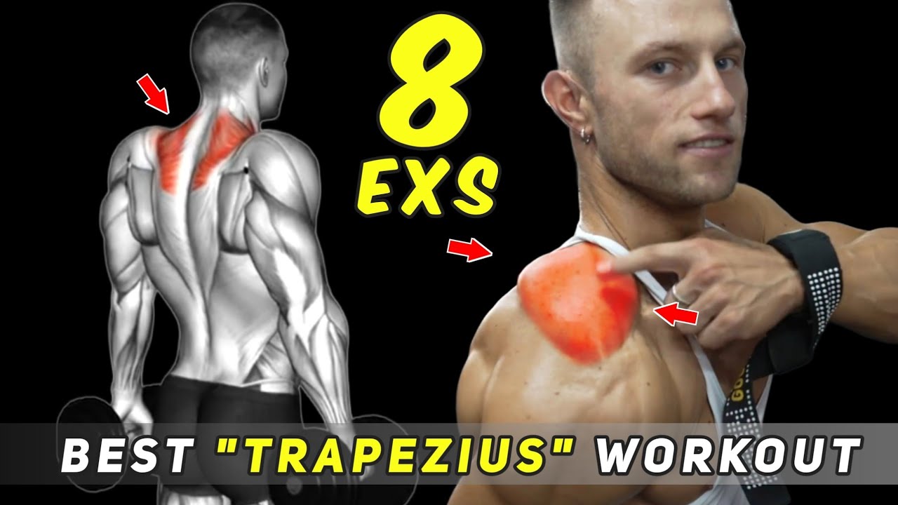 Traps Day Workout - 8 Best Traps Workout Routine - YouTube