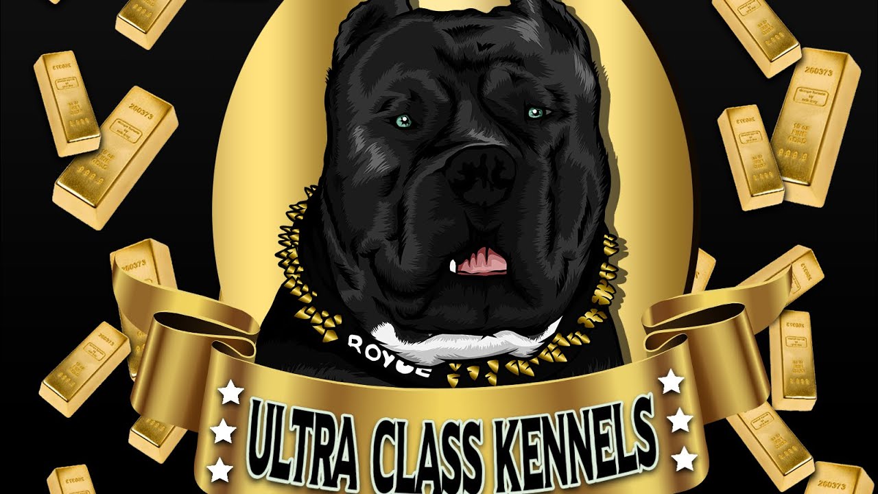 ULTRA CLASS Family - YouTube