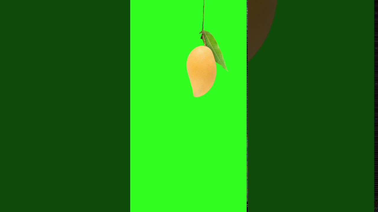 12 June 2020 tiktok mango green screen video vfx effects - YouTube