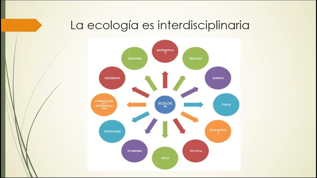Niveles de estudio de la Ecologia - YouTube