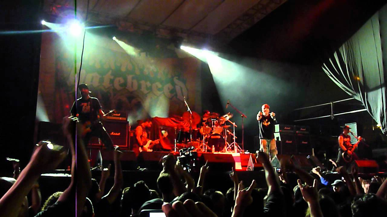 Hatebreed - Live For This + Perseverance (Live) - YouTube