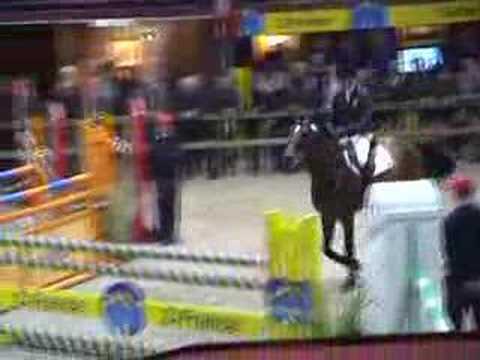 ♂ Quite Easy- jumping stallion (HOLST) by Quidam de Revel - YouTube