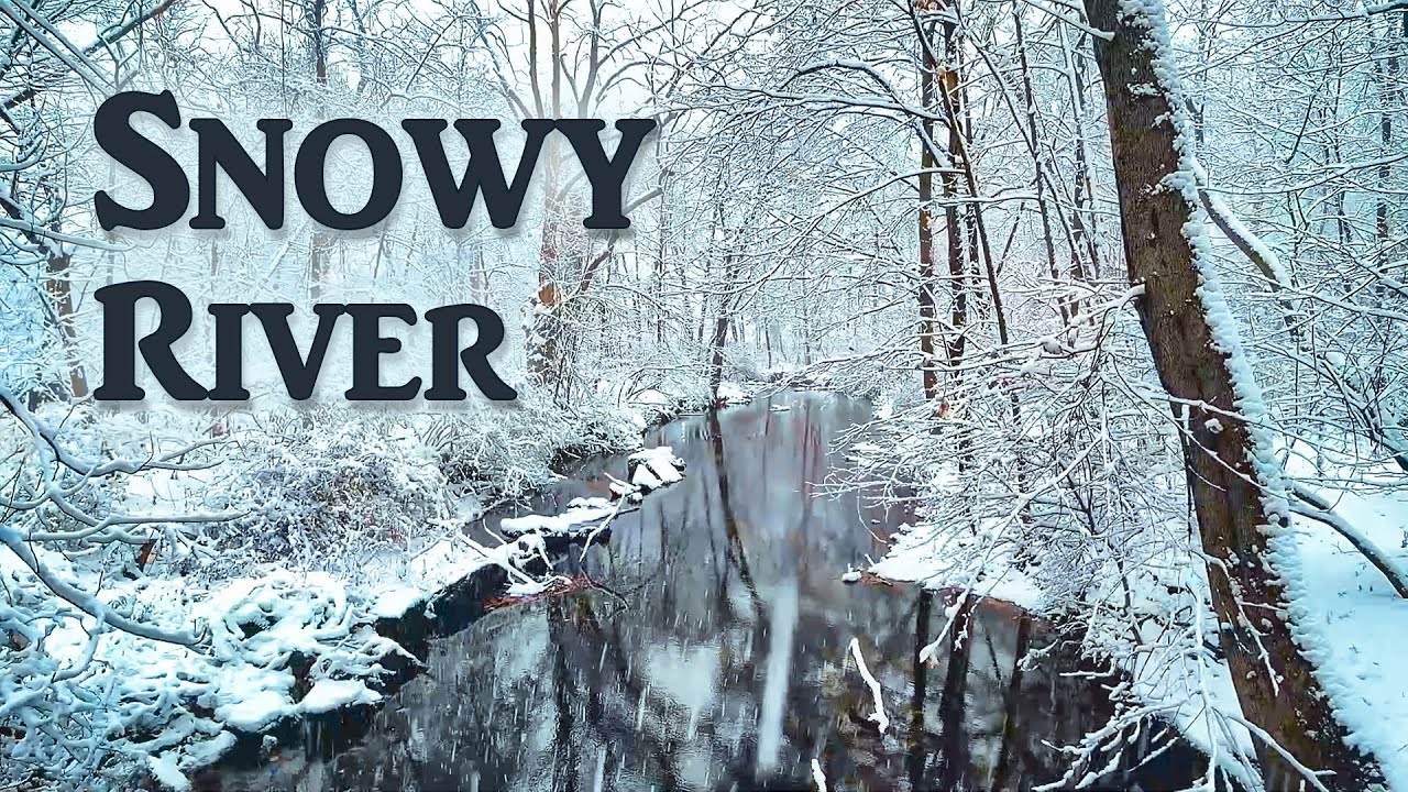 Snowy River in the Forest The Peace of Winter for Deep Sleep - YouTube