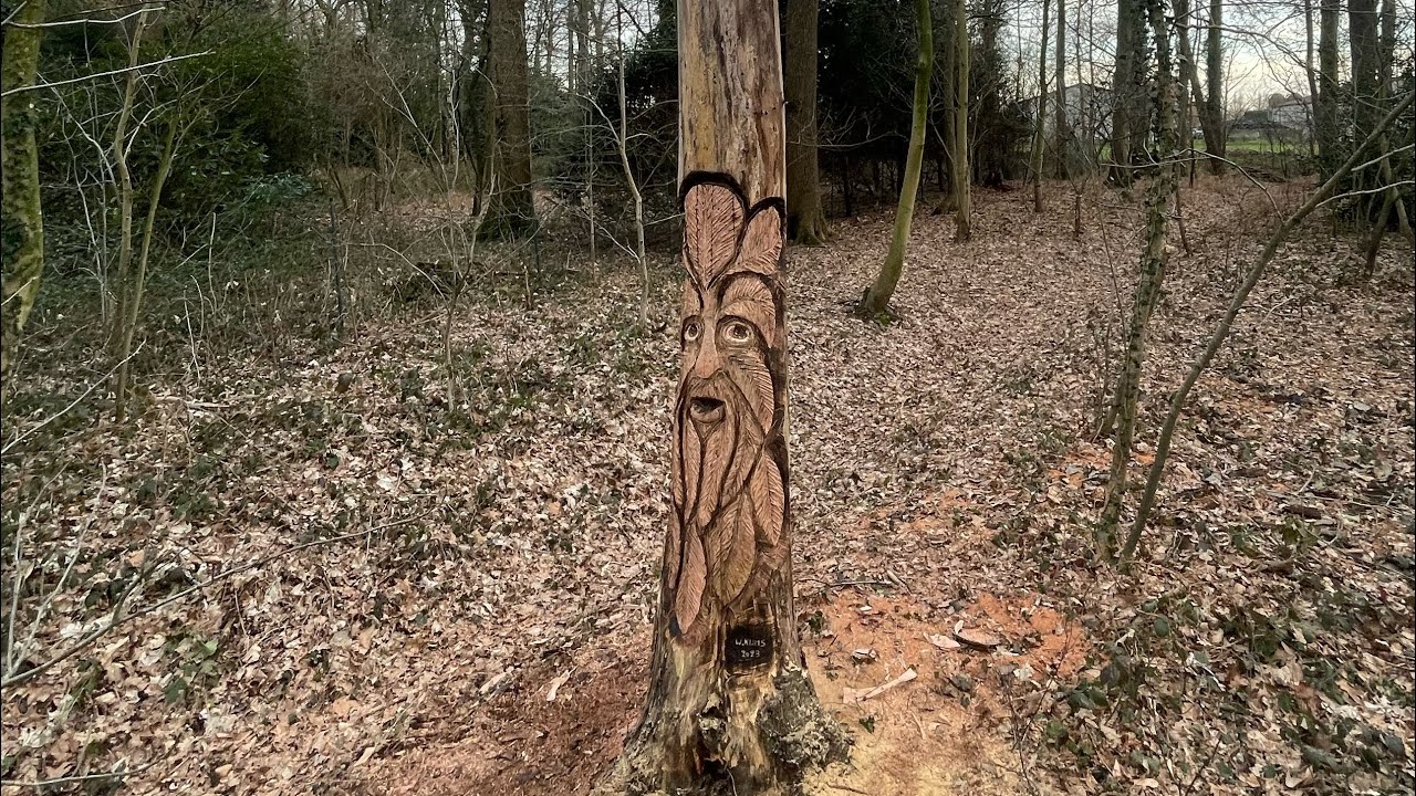 Carving a Greenman Face In a Dead Oak Tree - YouTube