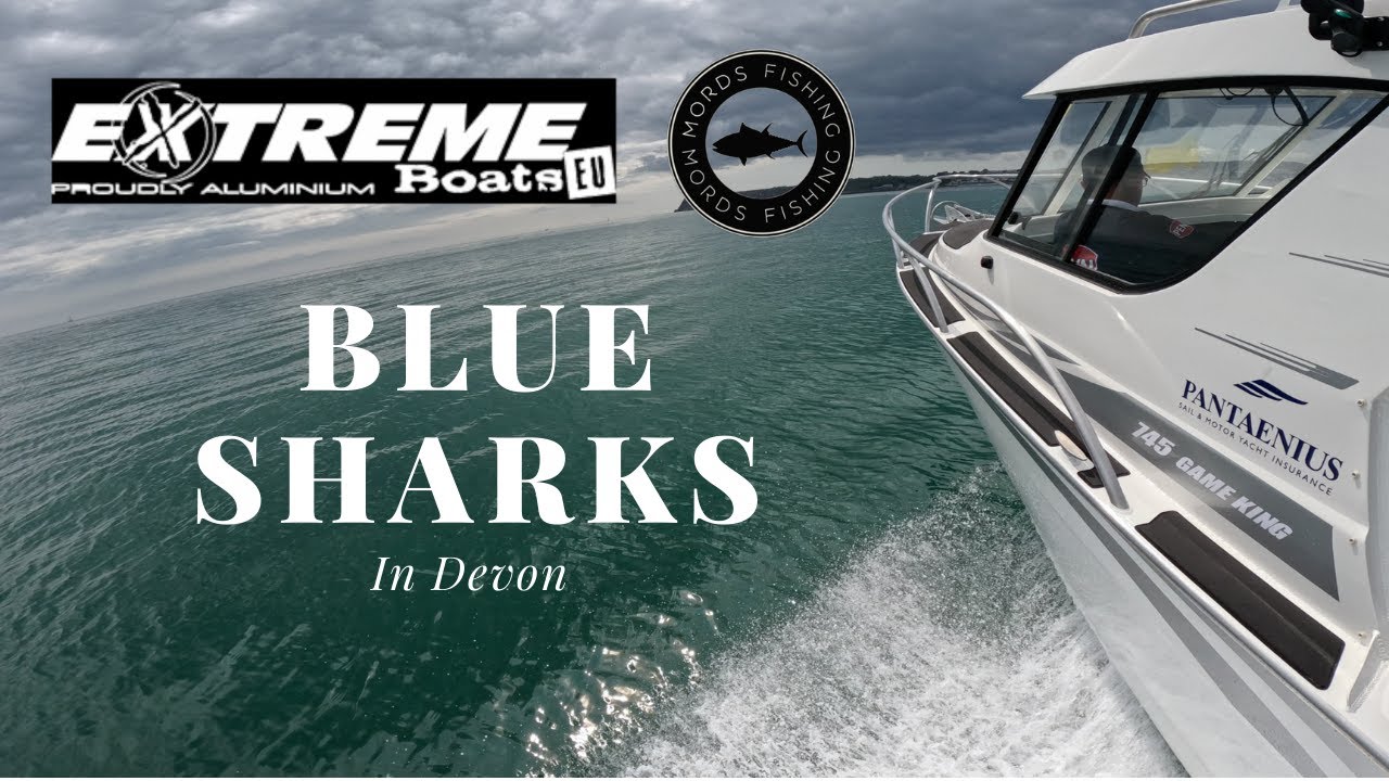 Shark Fishing Teaser, onboard an Extreme boats Game king 745 - YouTube