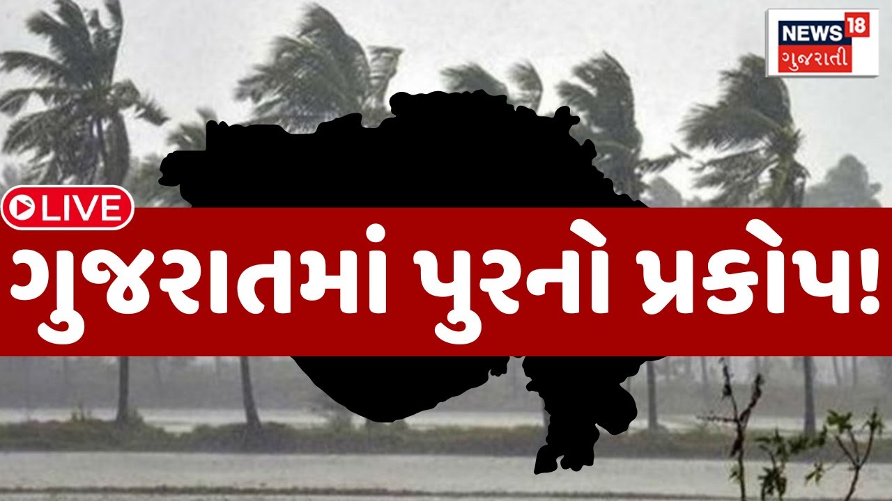 🟠Gujarat Live Heavy Rain : ગુજરાતમાં ભારે વરસાદના કારણે પુરનો પ્રકોપ ...