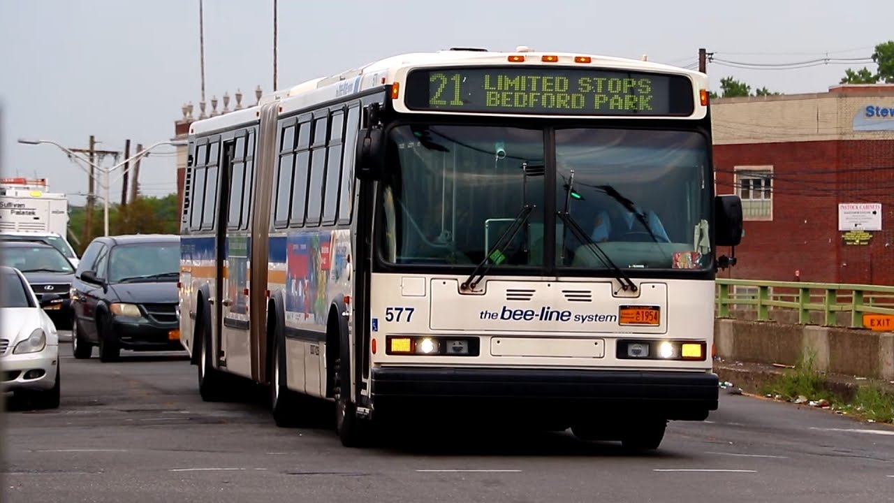 The Bee-Line System 2001-2002 Neoplan AN460 Transliner Articulateds On ...