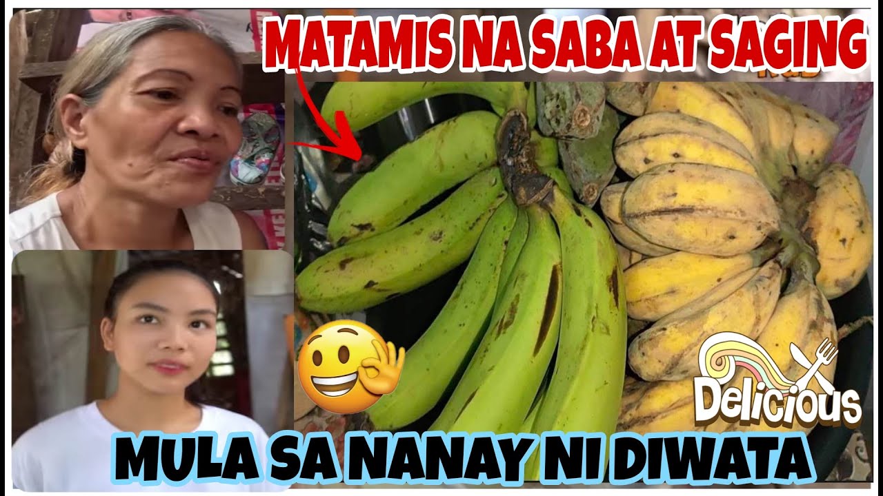 SABA NA GALING SA NANAY NI DIWATA NILUTO AT DINALA SA BAHAY NI KALINGAP ...