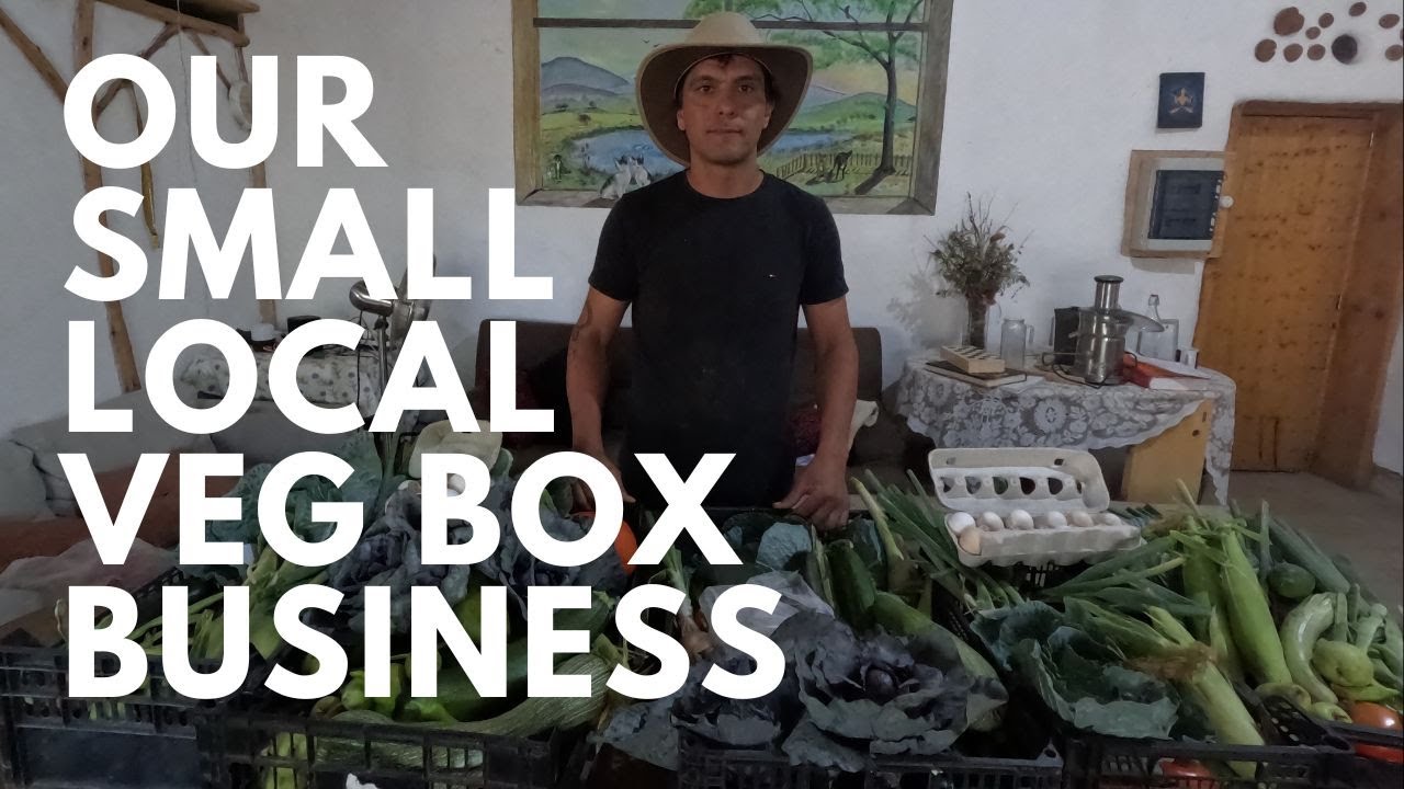 Find Out How Our Veg Box Service Works, From Harvesting To Packing ...