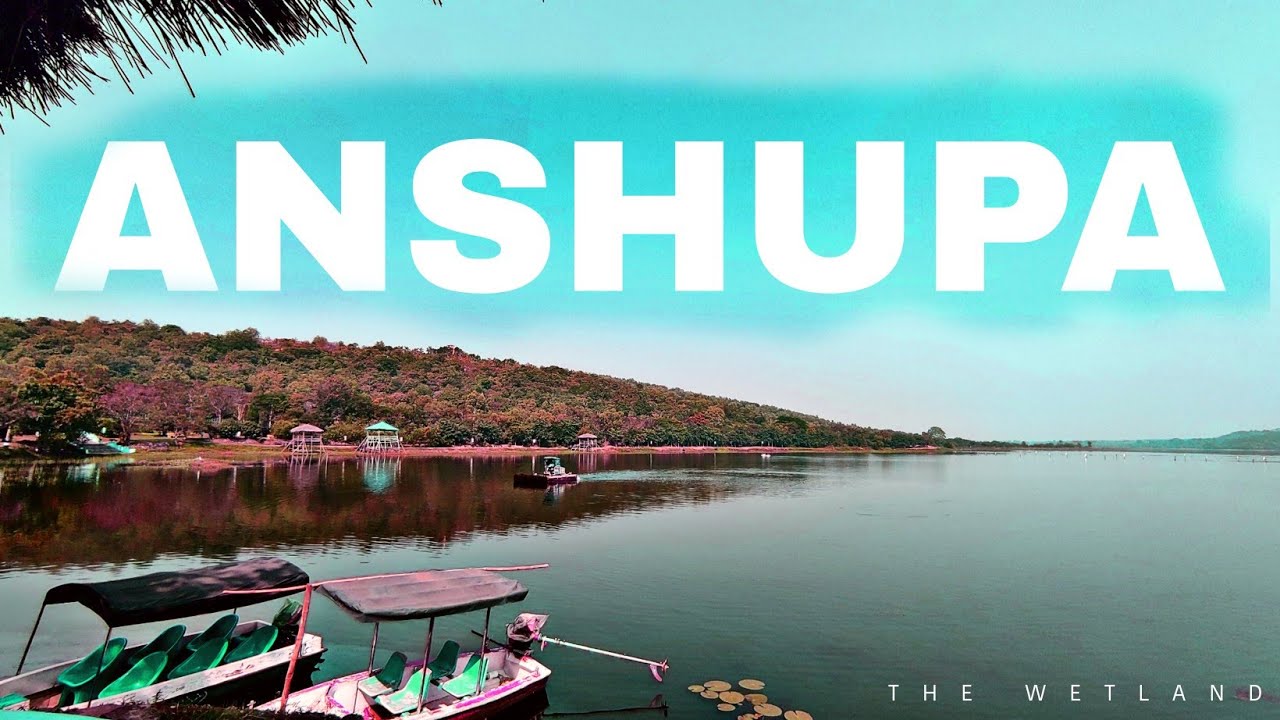ANSHUPA THE WETLAND - YouTube