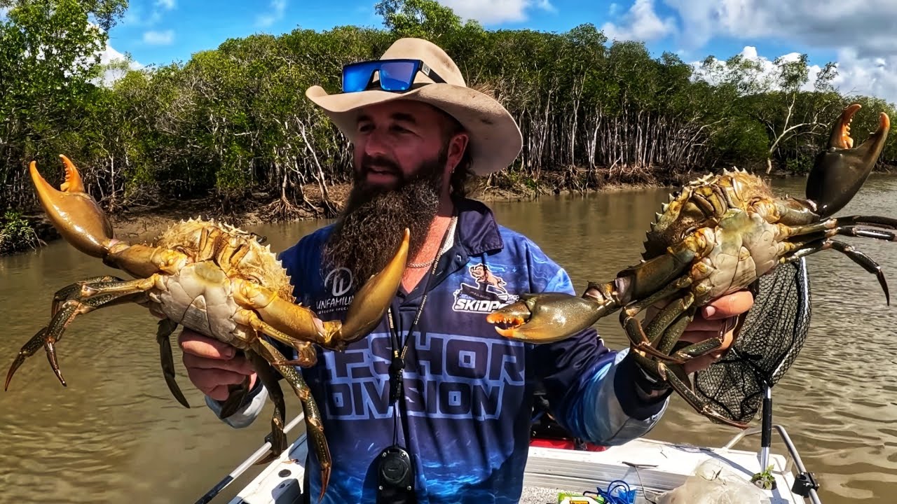 Best Bait For Mud Crabs? Chicken VS Mullet #mudcrab #crab #skidpig ...