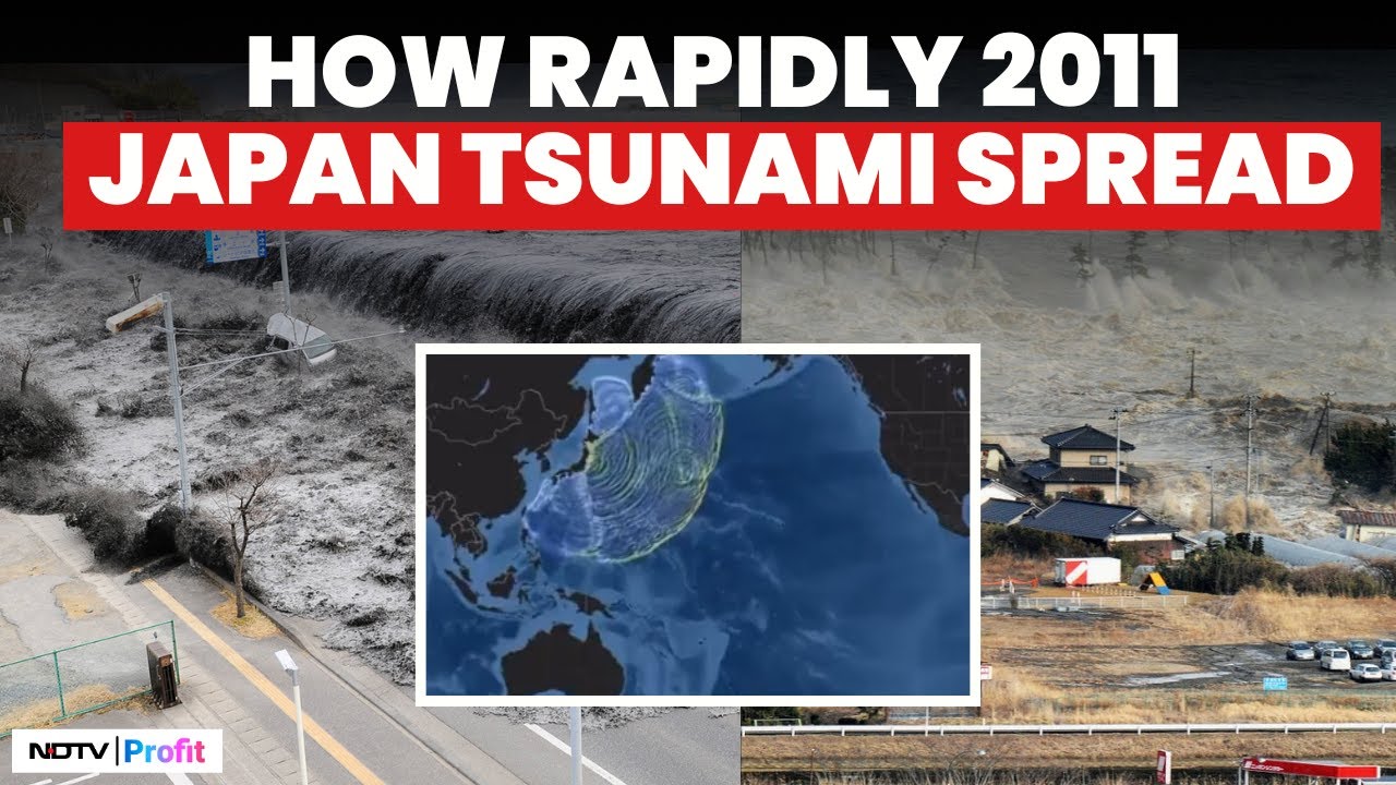 This Is How Quickly The 2011 Tsunami Waves Spread In Japan I Japan ...