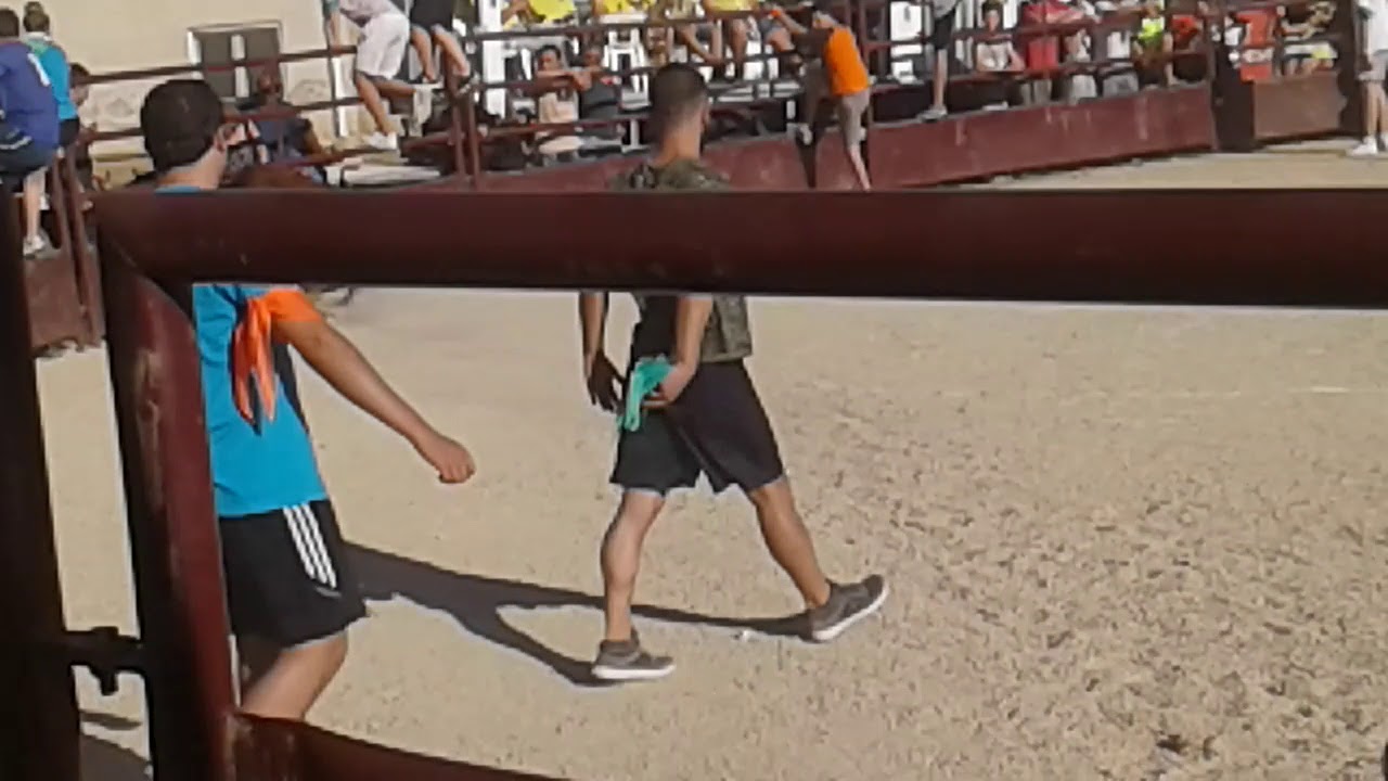 Veo la placa de 🐮 toros - YouTube