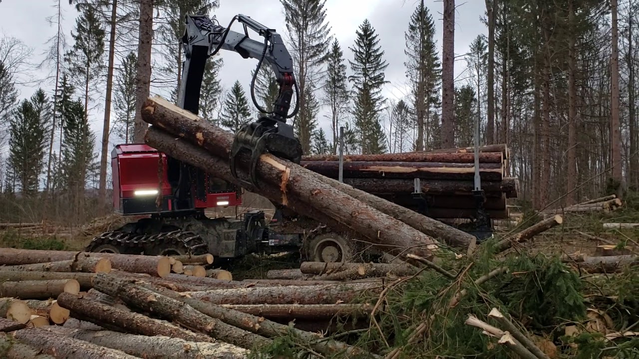 Timber Pro TF 830D Forwarder loading a full bunk in 5 mins - YouTube