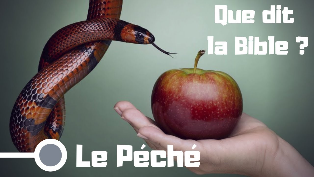 Que dit la Bible? Le Péché. ( introduction, causes, effets, et solution ...
