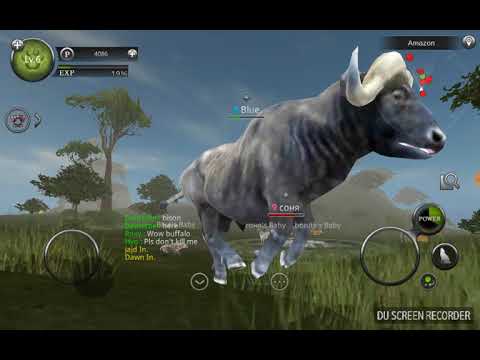 YAY I GOT A BUFFALO IN WILD ANIMALS ONLINE🐱🐱🐱 - YouTube