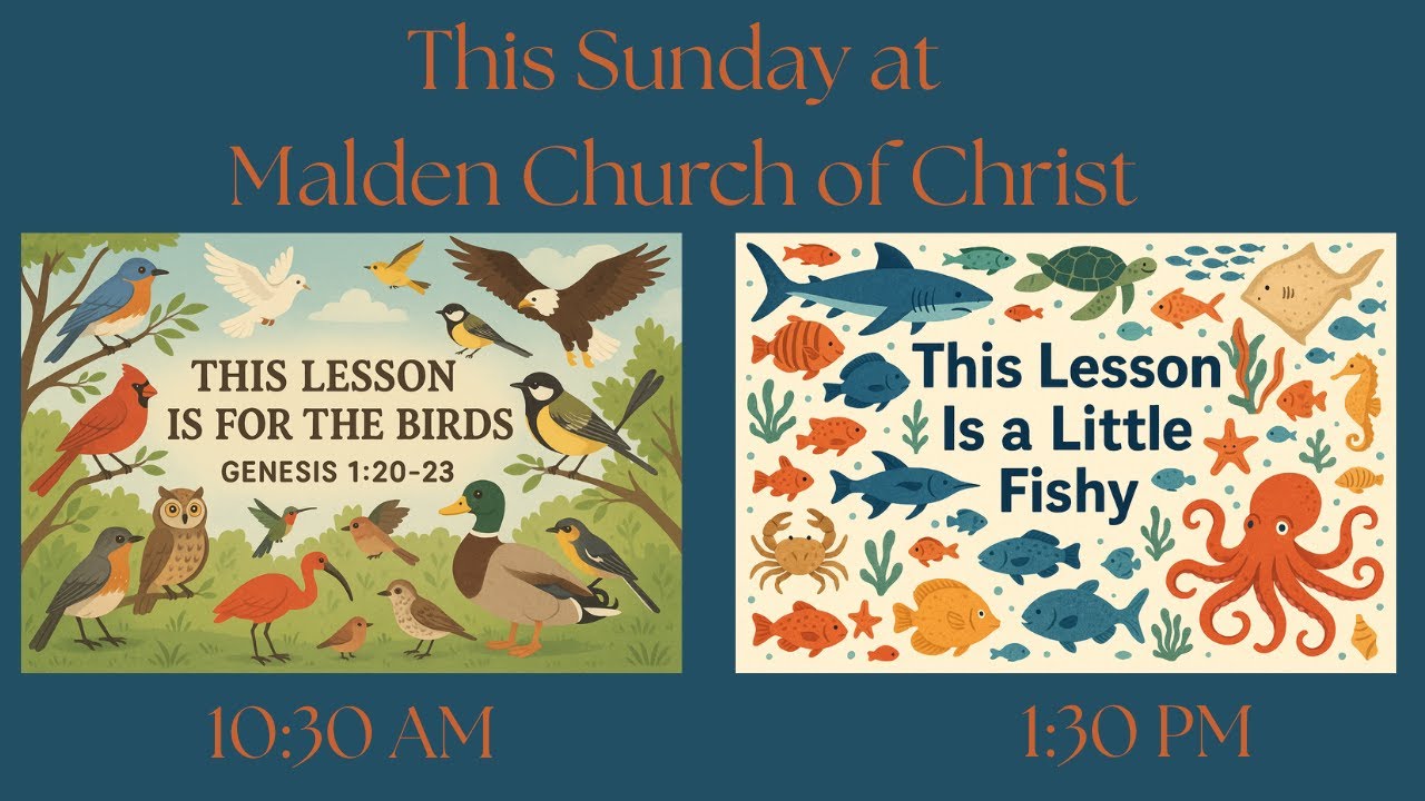Day 5 of Creation — Lessons from the Skies and Seas | Malden Church of ...