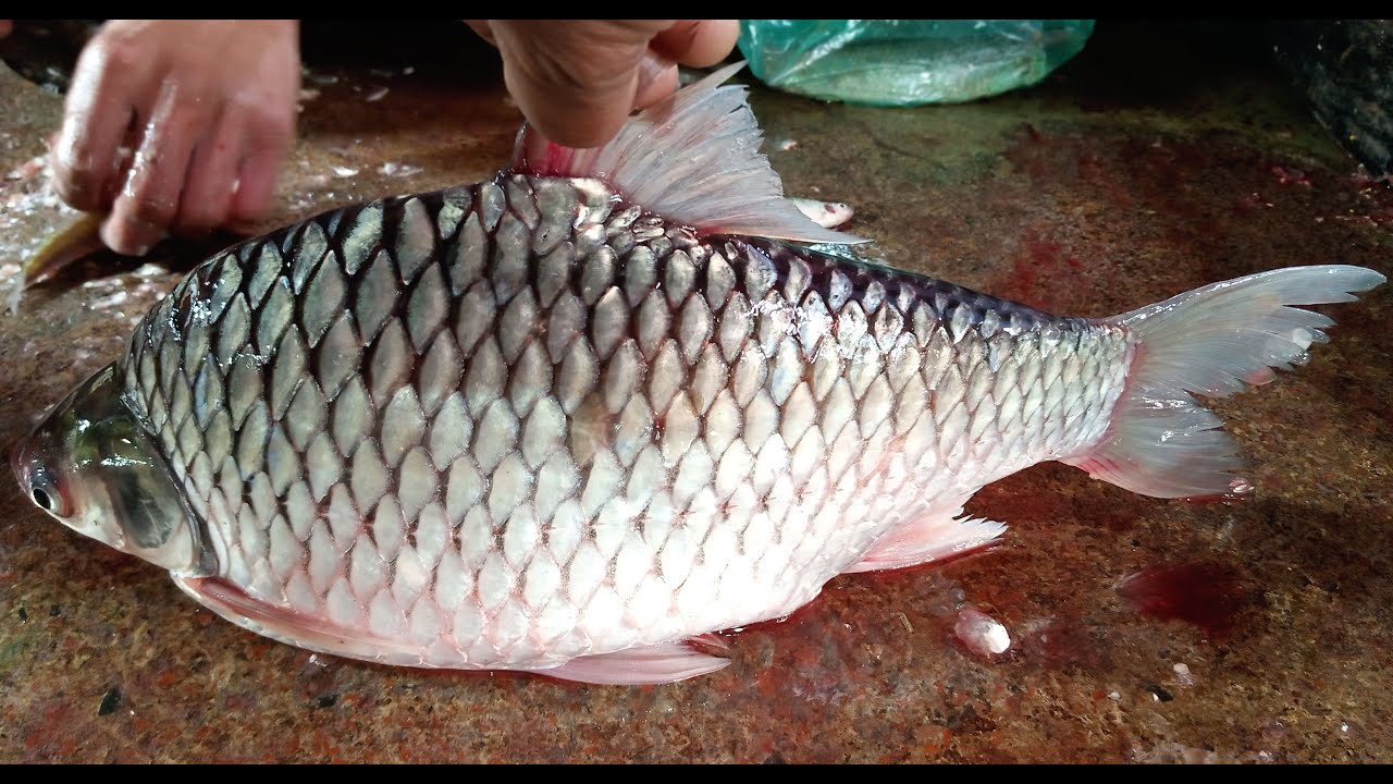 Deshi Big Shor Puti Fish Steak Cutting - YouTube