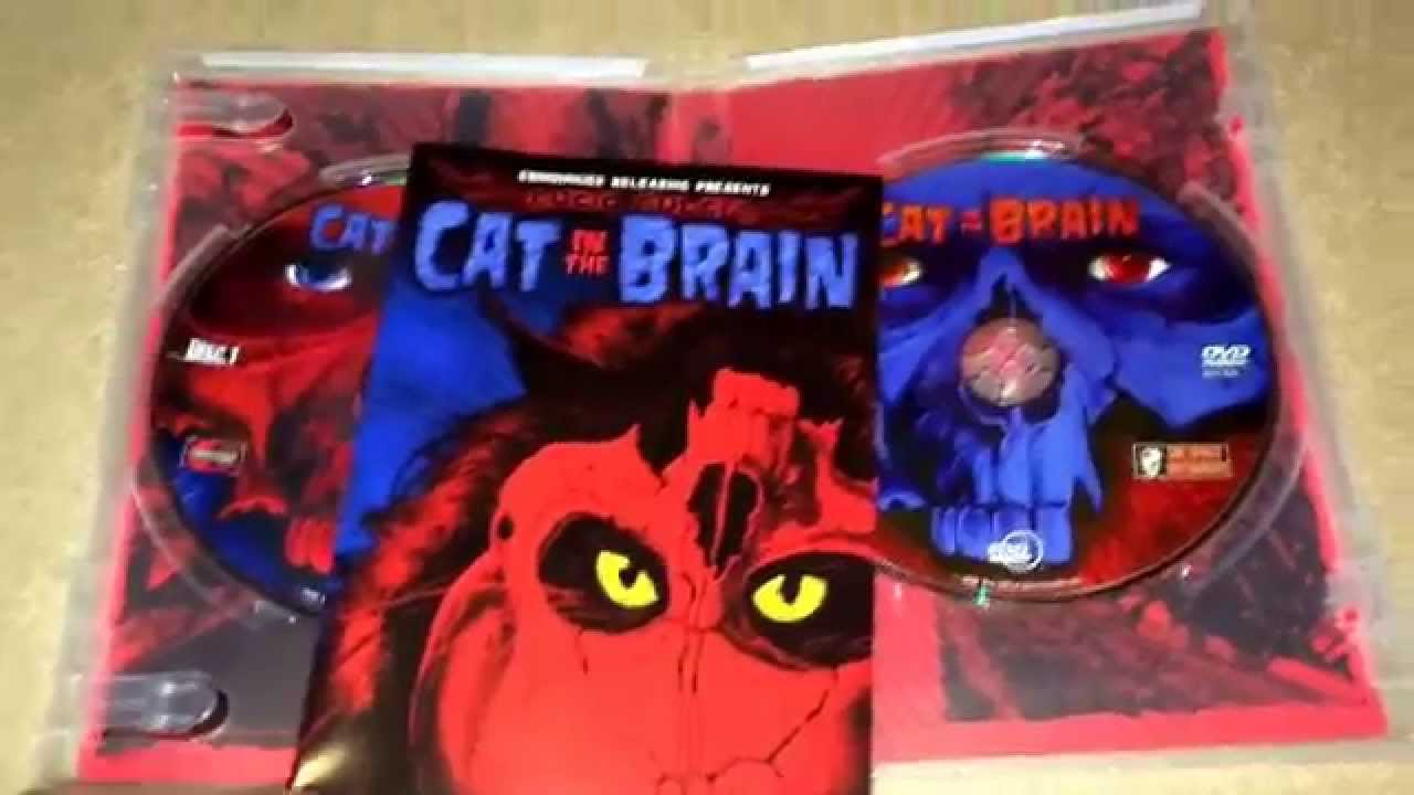 Grindhouse Releasing Blu Ray and DVD Collection - YouTube