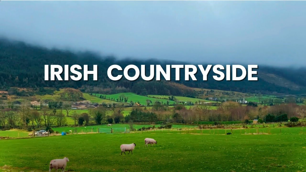 24 Hrs in Irish Countryside: Peace, Nature and Serenity - YouTube